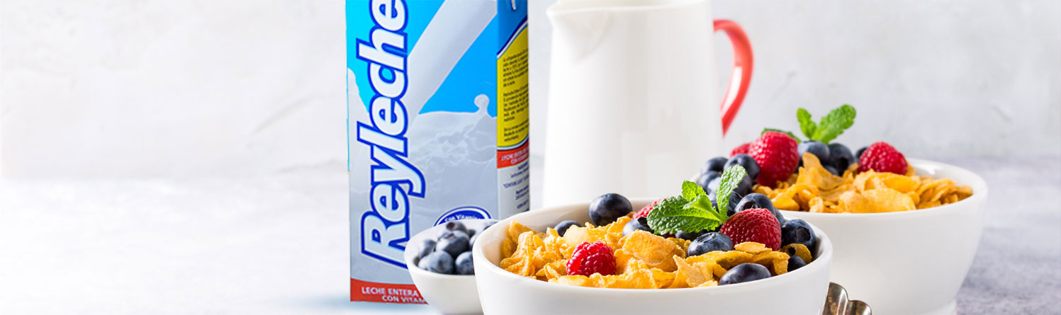 Home [reytealimenta.com]